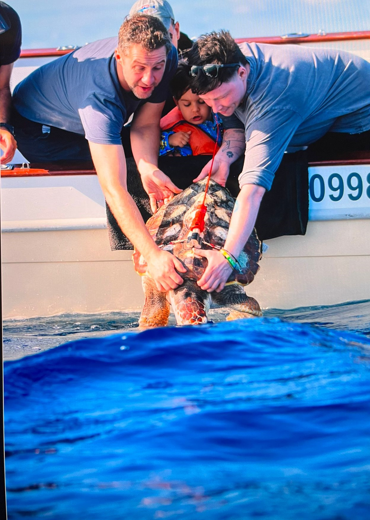 Iona’s oceanic adventures :: part II - Flying Sharks