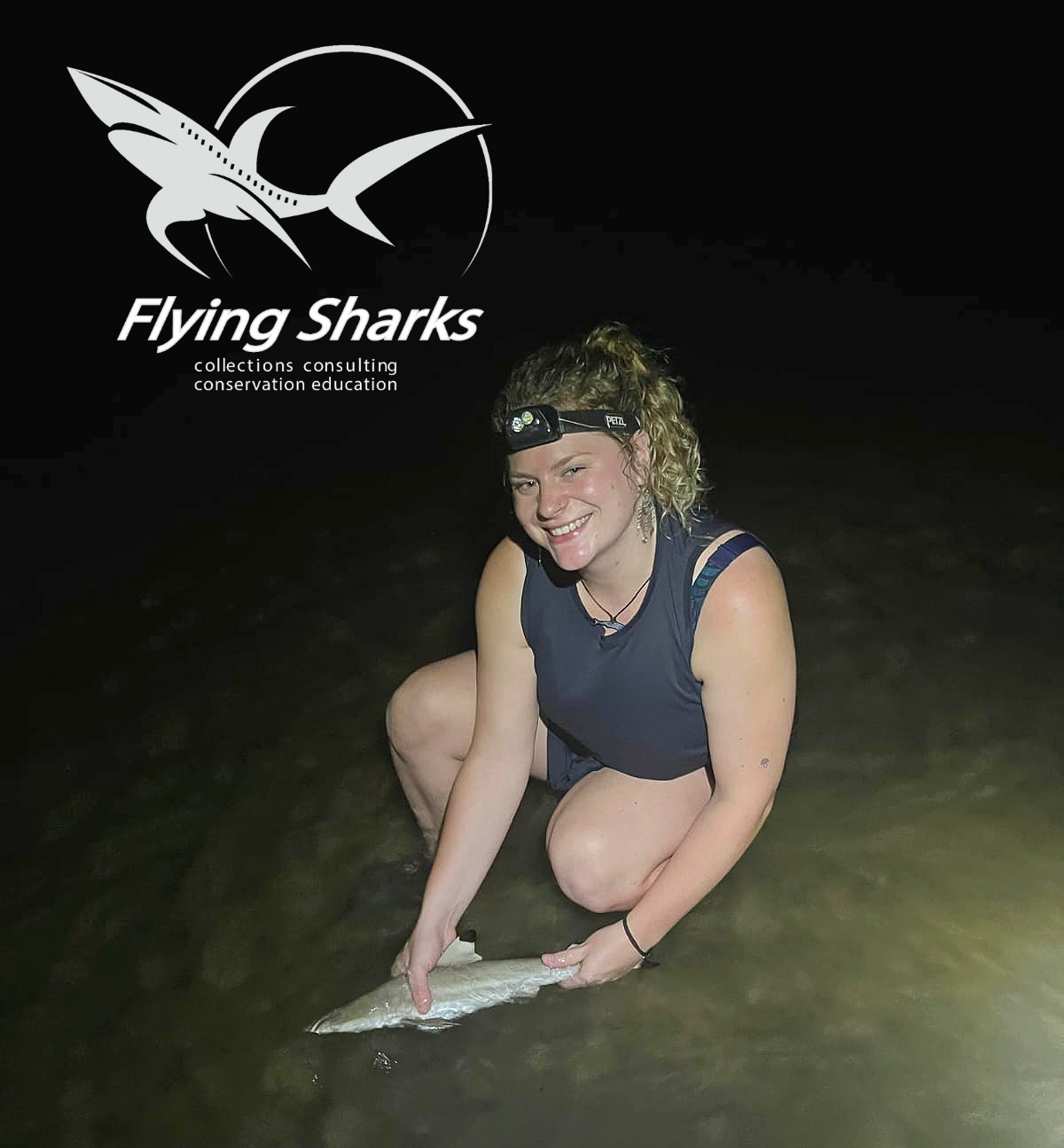 Research Fund 23/12 :: Elke Herbots - Flying Sharks
