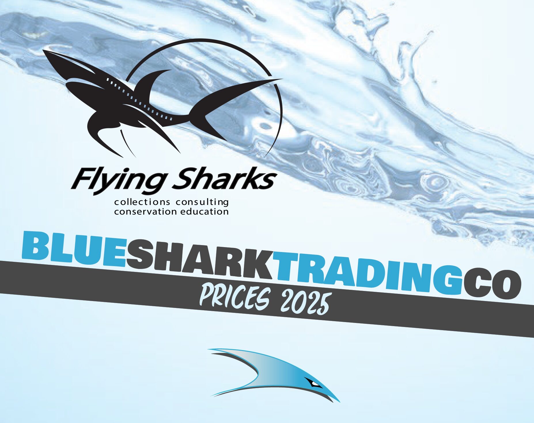 Blue Shark Journey products - Flying Sharks
